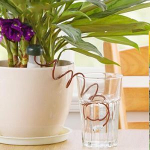 How To Install A DIY Automatic Watering System for Potted Plants ...