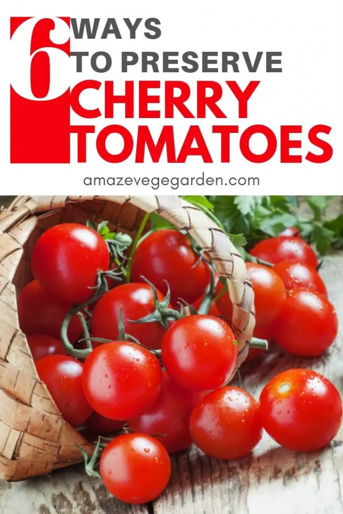Different Ways to Preserve Cherry Tomatoes – Amaze Vege Garden