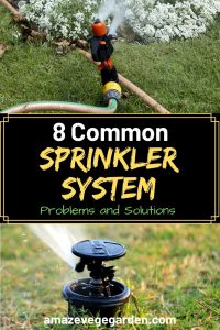 Common Sprinkler System Problems and Solutions – Amaze Vege Garden