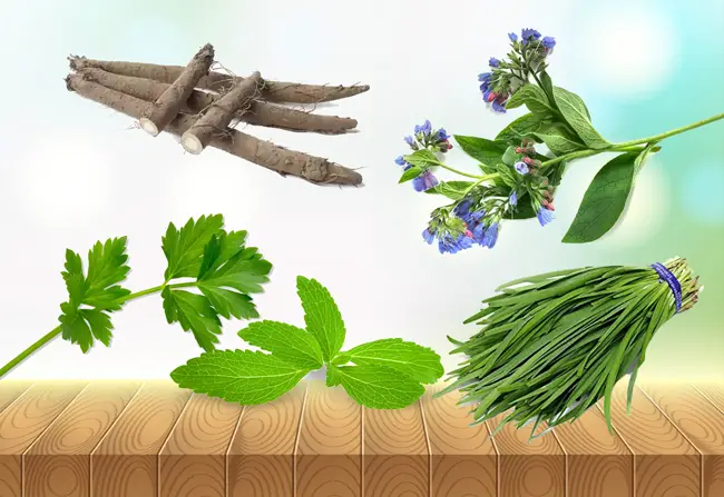 A Guide To 9 Uncommon Herbs - Amaze Vege Garden