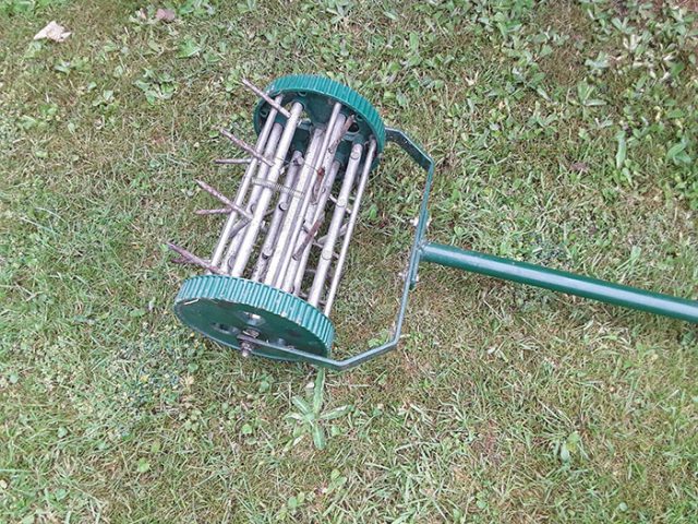 Types of Lawn Aerators – Core, Spike, Plug, Rolling and Liquid – Amaze ...