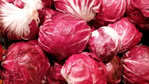 28 Delicious Loose Leaf Lettuce Varieties – Amaze Vege Garden